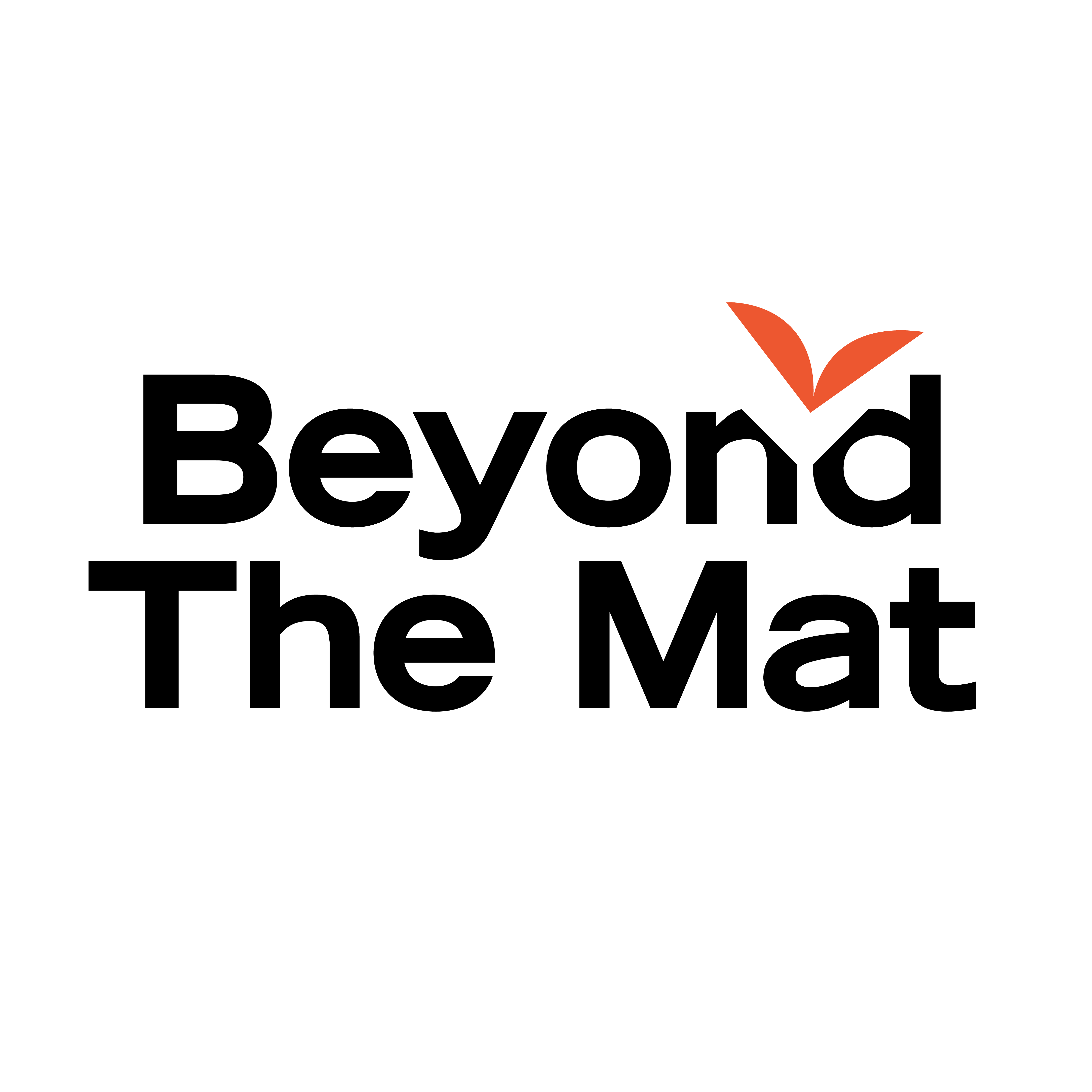 Elemental Handstand Blocks – Beyond The Mat Acroyoga Gear